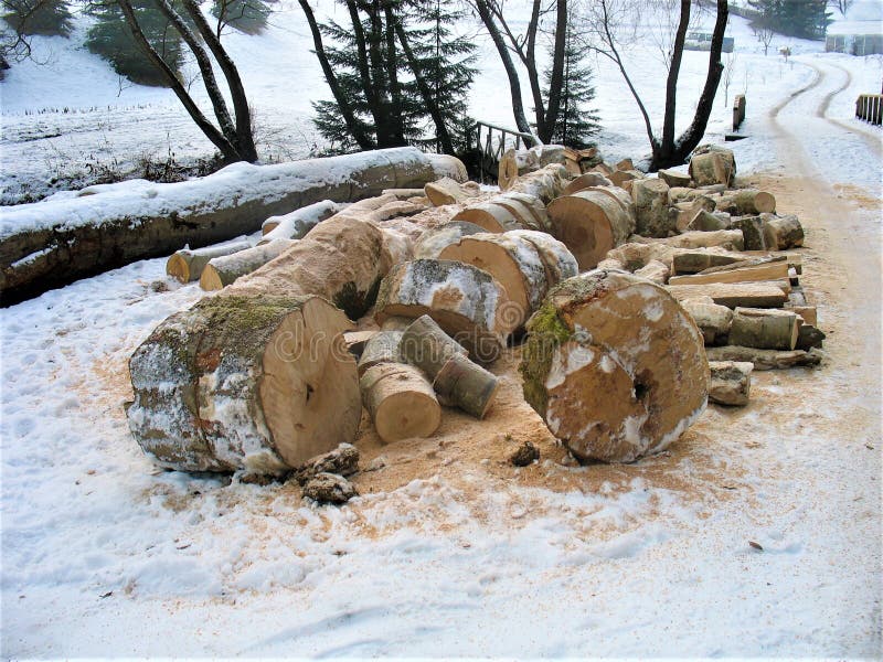 Log cutting for firewood stock image. Image of cutting - 143157831