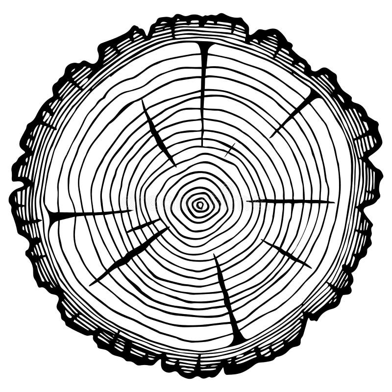 Wooden Log White Background Vector Stock Illustrations – 5,135 Wooden ...