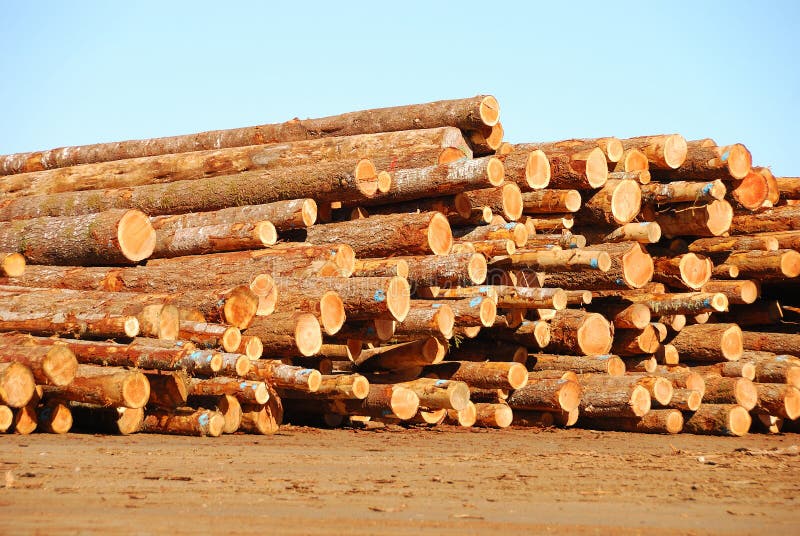 Log Deck stock photo. Image of products, mill, stack - 25637444