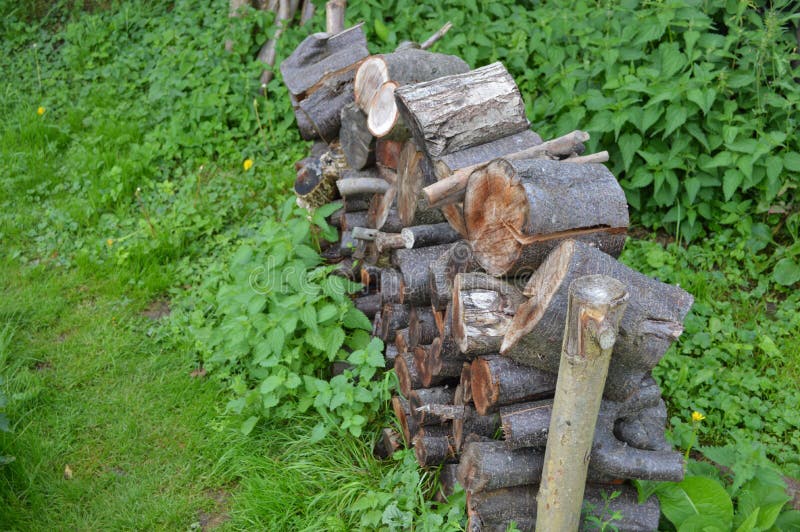 Log stock image. Image of nature, timber, forestry, forest - 88710351