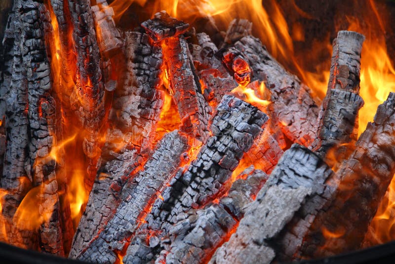 Log fire stock photo. Image of powerful, light, burning - 22098998