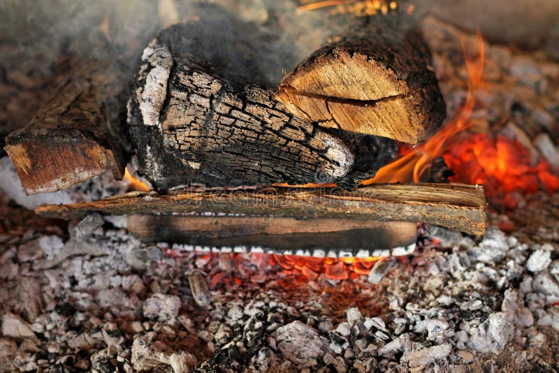 Log fire stock photo. Image of flames, fireplace, wood - 29459916