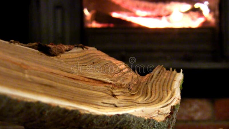 Log by the Fire on Cold Night; 3 Stock Footage - Video of arboreal ...