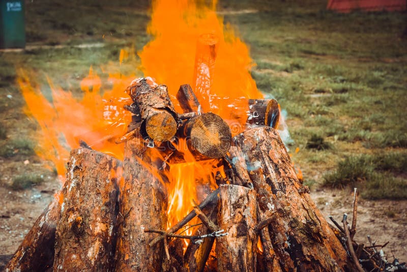 Log on the Fire stock image. Image of wood, fire, forest - 116396733