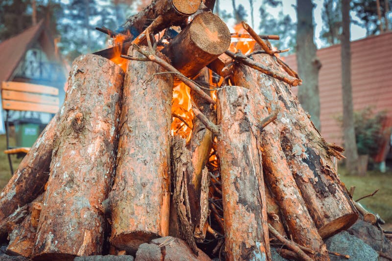 Log on the Fire stock photo. Image of afire, large, branch - 116396694