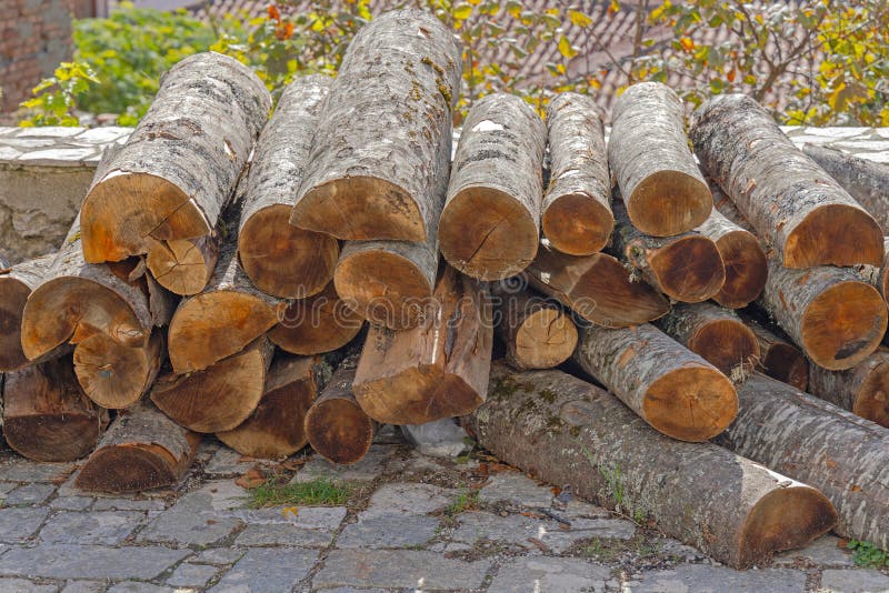 Log Fire Wood Stack stock photo. Image of energy, firewood - 305073674