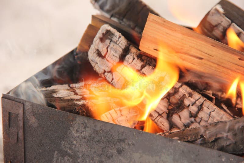Log in the Flames. Burning Fire in the Grill is Large. Stock Image ...