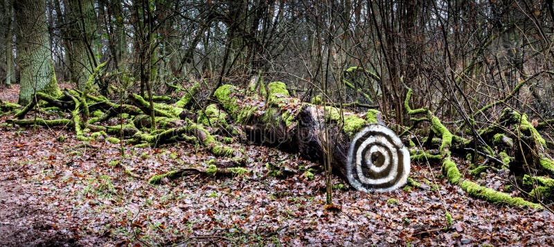 Target Drawn on a Fallen Tree Stock Image - Image of broken, forest ...