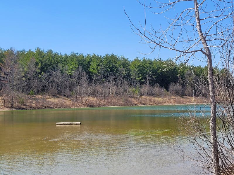 Log on Foretract Lake stock photo. Image of waterway - 361863452