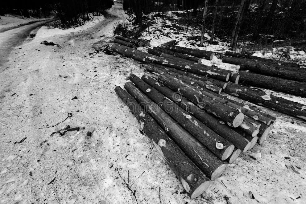 Log formations stock photo. Image of polivka, formation - 27428428