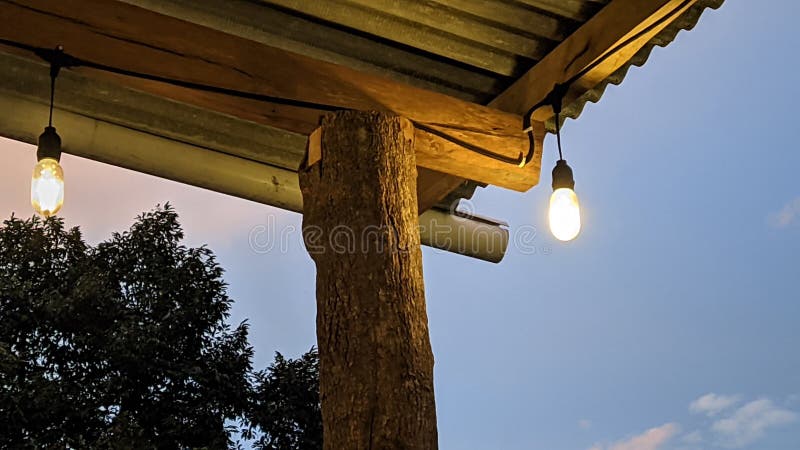 Log Foundation stock image. Image of beautiful, natural - 274535927