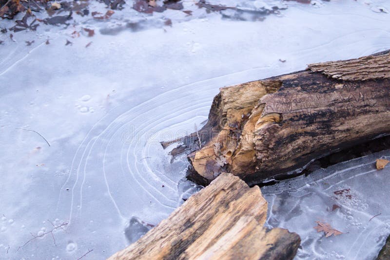Fallen Log Frozen in Ice on Stream Stock Photo - Image of clear, melt ...