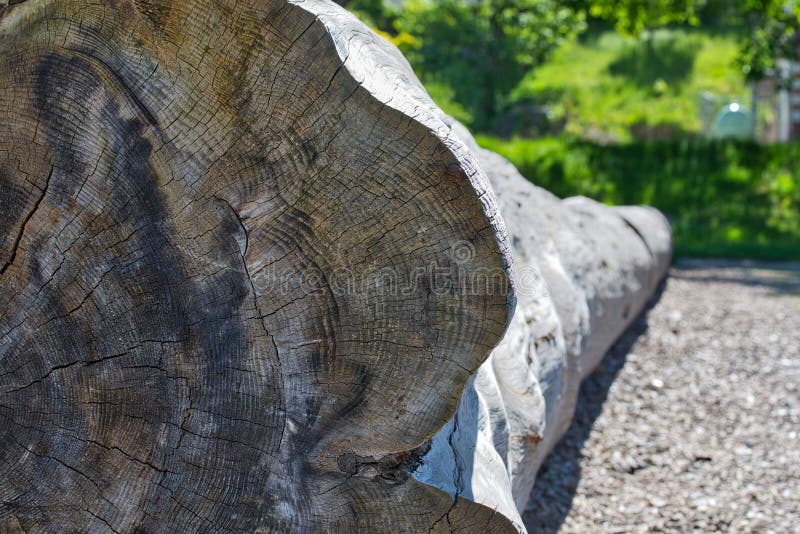 Log on the Ground in a Rustic Outdoor Setting Stock Image - Image of crafted, wild: 279009149