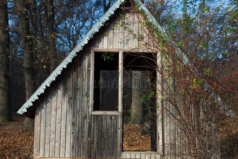 Log House. Old Single House. Photo of an Unusual House in the Forest ...