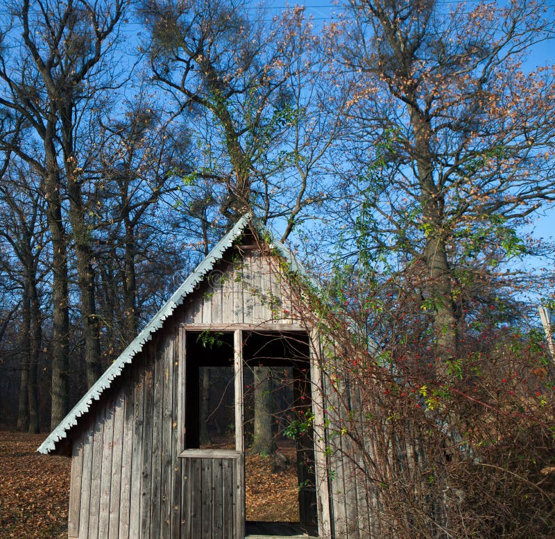 Log House. Old Single House. Photo of an Unusual House in the Forest ...