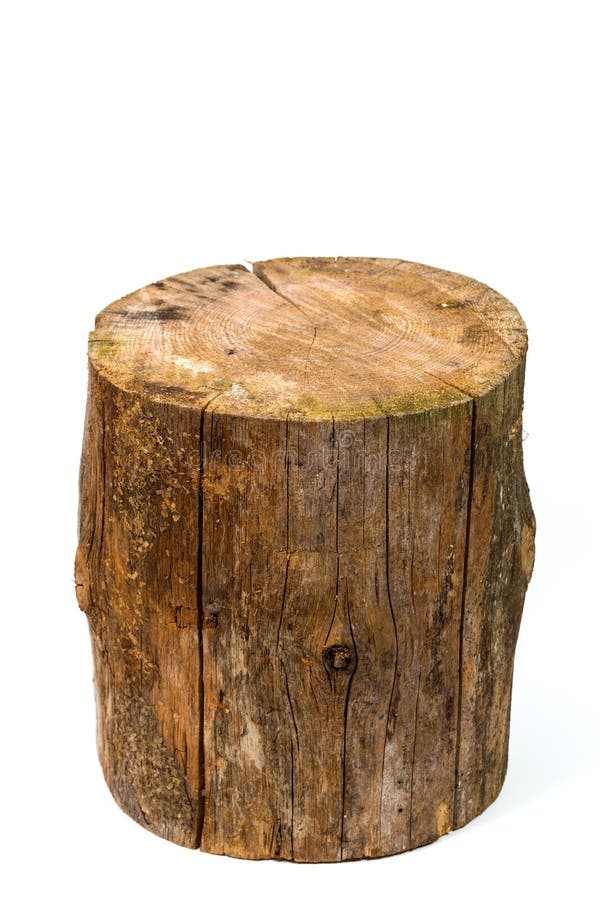 11,578 Log Isolated White Background Stock Photos - Free & Royalty-Free ...