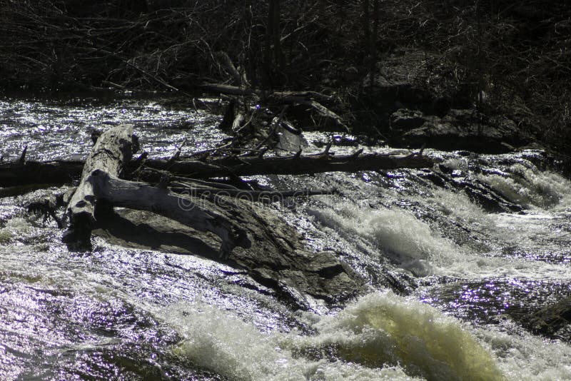 108 Log Jam River Stock Photos - Free & Royalty-Free Stock Photos from ...