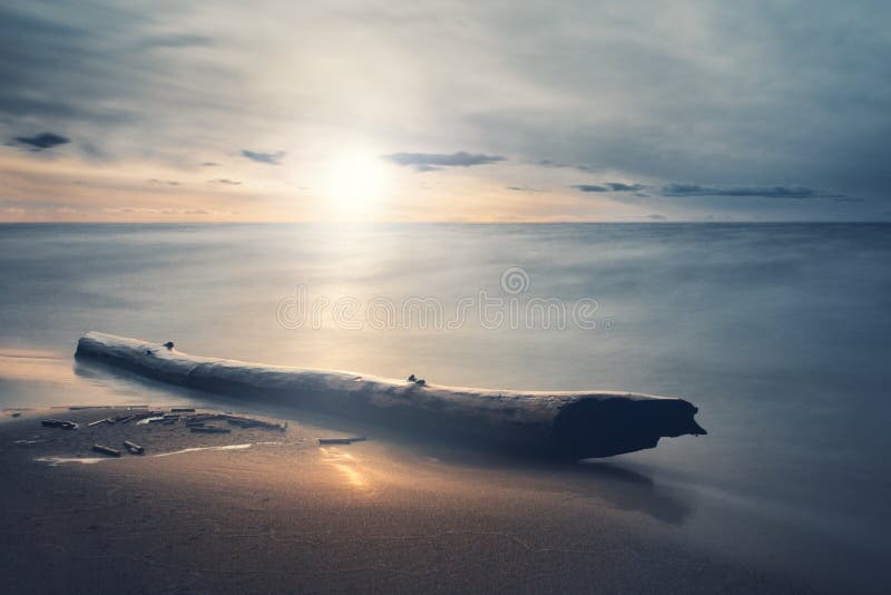 Log on the lake at sunset stock image. Image of outdoors - 262591299