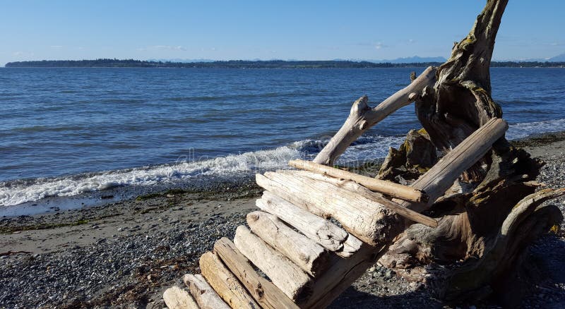 A shelter in the forest stock photo. Image of forest - 62170800