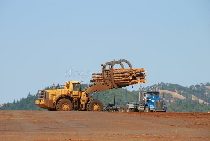 Log Load stock image. Image of pile, forklift, transportation - 25035617