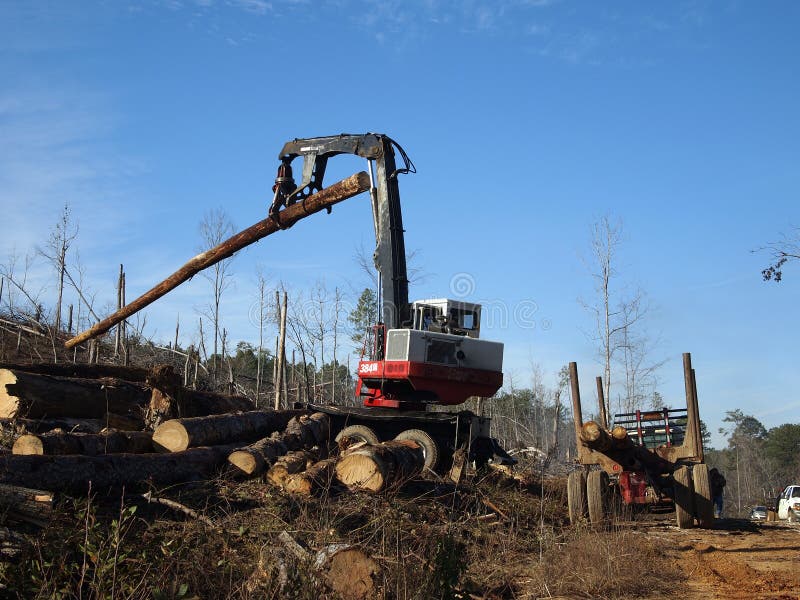 Log Loader stock image. Image of forest, occupation, outdoor - 22548545