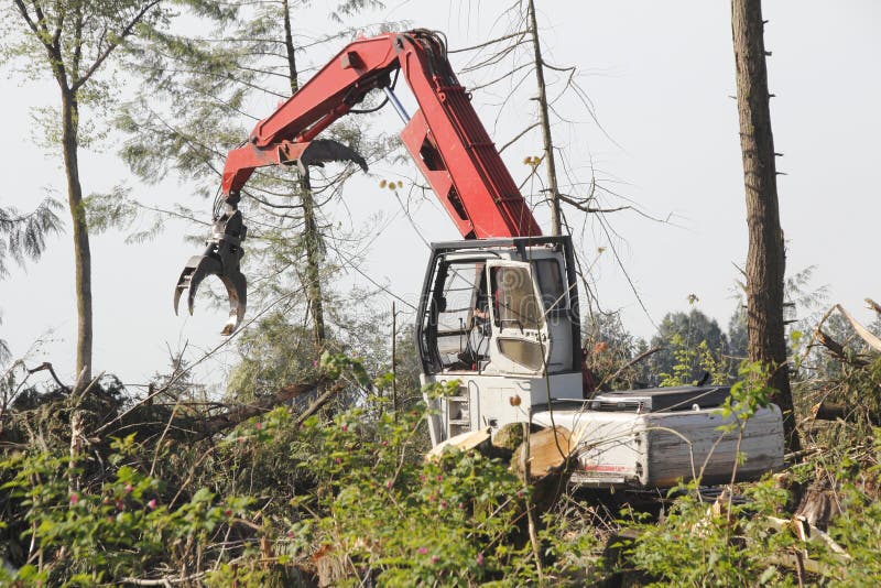 Log Loader in Forest stock photo. Image of heavy, grabber - 40358614