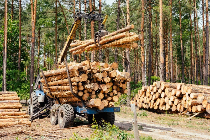 Log Loader or Forestry Machine Loading Its Body Stock Photo - Image of ...