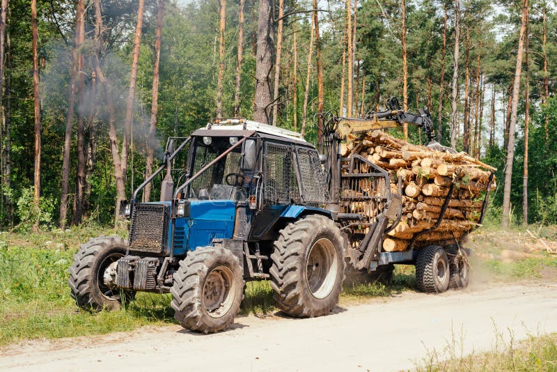 Log Loader or Forestry Machine Loading Its Body Stock Photo - Image of ...