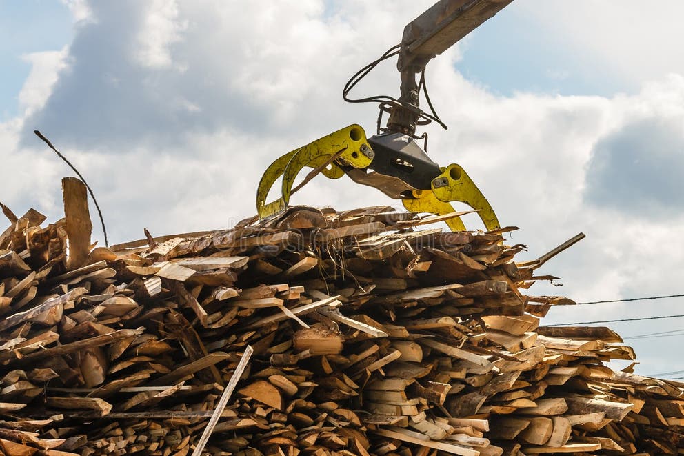 Log Loader or Forestry Machine Loads a Log Truck Stock Image - Image of ...