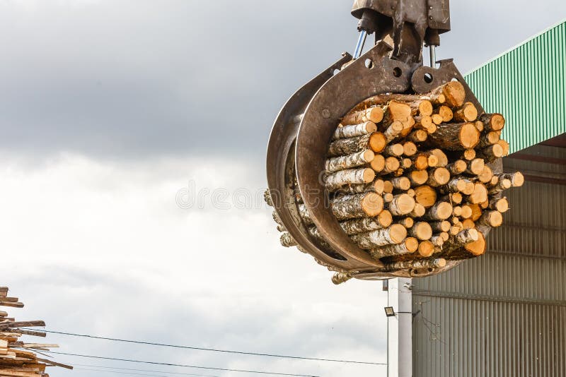 Log Loader or Forestry Machine Loads a Log Truck Stock Photo - Image of ...
