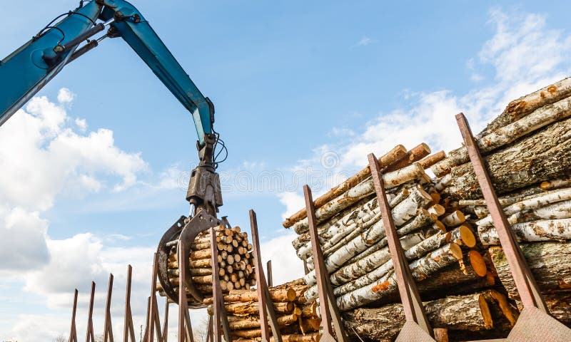 Log Loader or Forestry Machine Loads a Log Truck Stock Image - Image of ...
