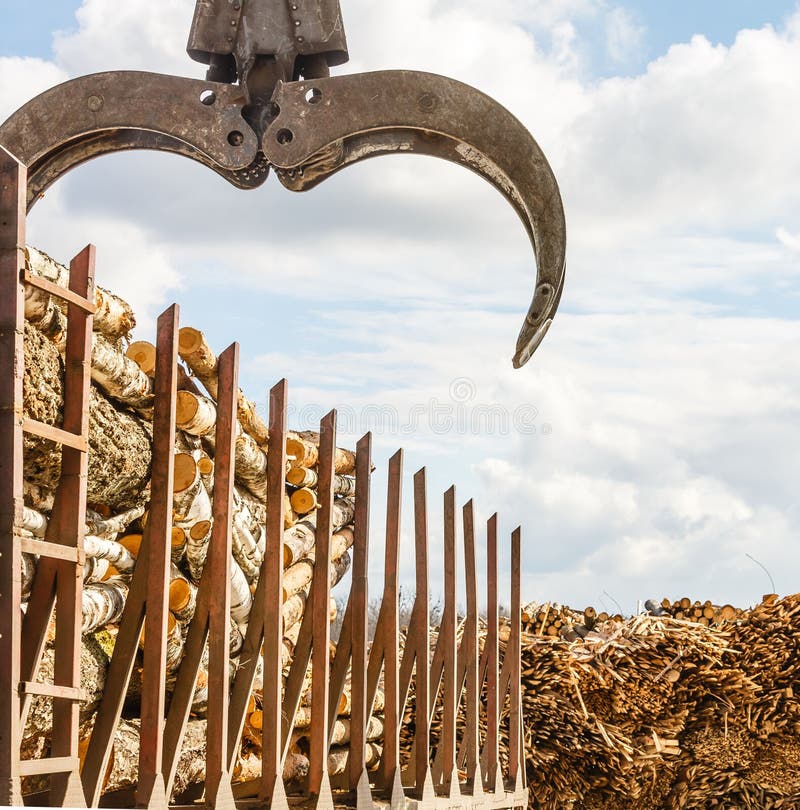 Log Loader or Forestry Machine Loads a Log Truck Stock Image - Image of ...