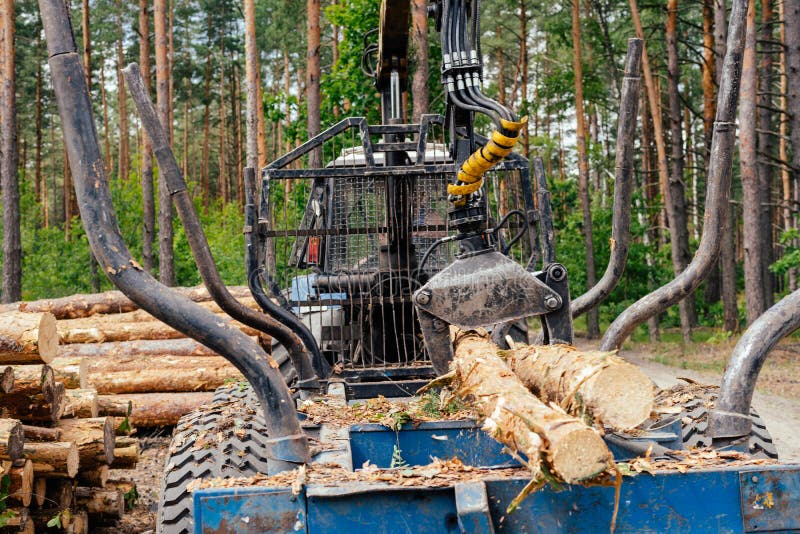 Log Loader or Forestry Machine Loads. the Logs are Folded on the ...