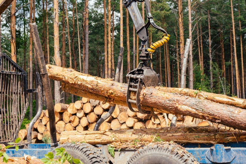 Log Loader or Forestry Machine Loads. the Logs are Folded on the ...