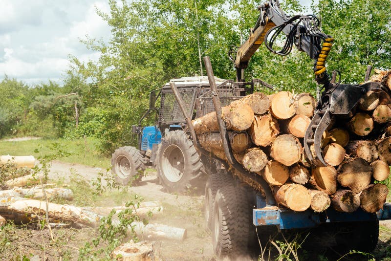 Log Loader or Forestry Machine Loads. the Logs are Folded on the ...
