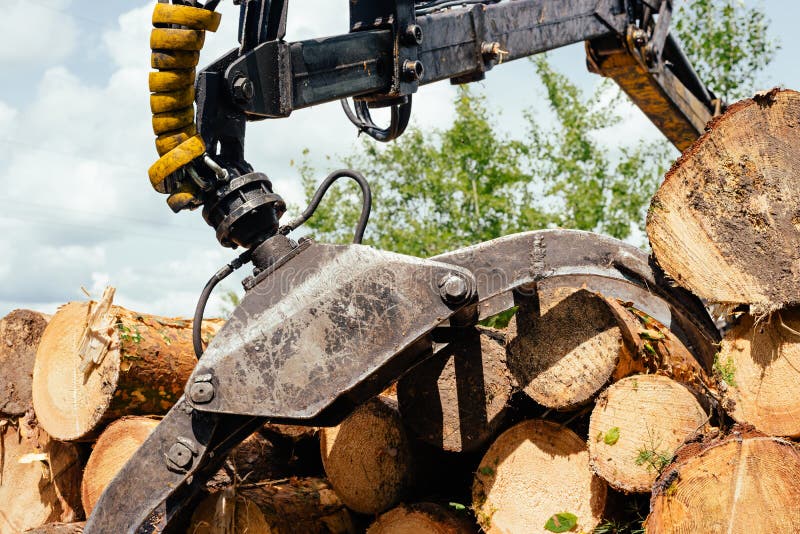 Log Loader or Forestry Machine Loads. the Logs are Folded on the ...