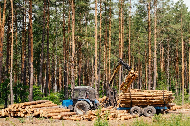 Log Loader or Forestry Machine Loads. the Logs are Folded on the ...