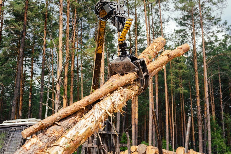 Log Loader or Forestry Machine Loads. the Logs are Folded on the ...