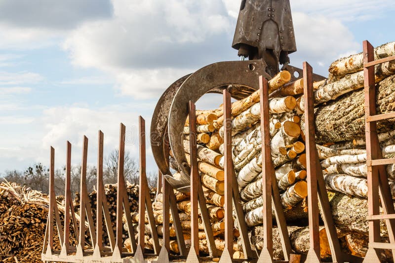 Log Loader or Forestry Machine Loads a Log Truck Stock Image - Image of ...