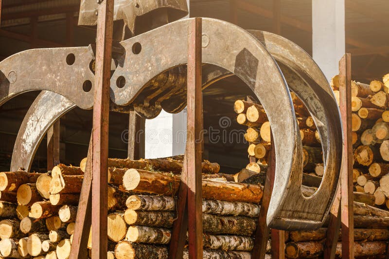 Log Loader or Forestry Machine Loads a Log Truck Stock Image - Image of ...