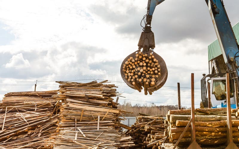 Log Loader or Forestry Machine Loads a Log Truck Stock Photo - Image of ...