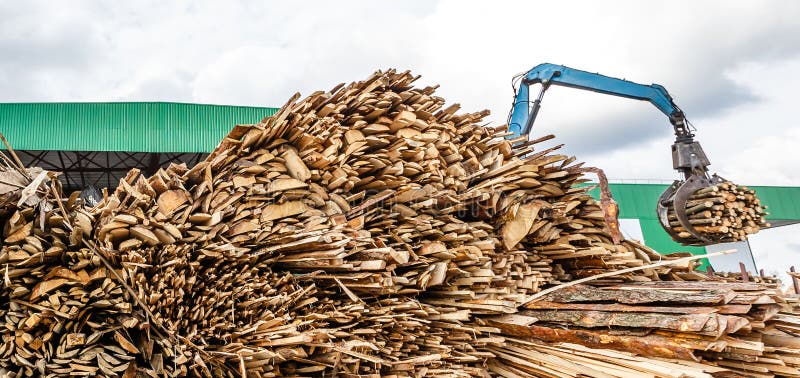 Log Loader or Forestry Machine Loads a Log Truck Stock Image - Image of ...