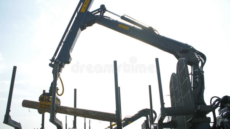 Log Loader or Forestry Machine Moves Fresh Cut Logs for Loading ...