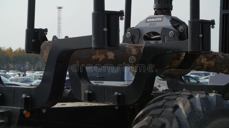 Heavy Lifting Crane Loading Cut Wooden Logs. Loading of Timber Stock ...