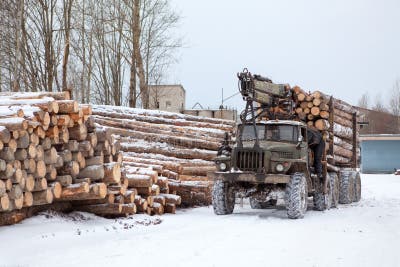 Log Loader Track with Timber Stock Photo - Image of harvest, industry ...