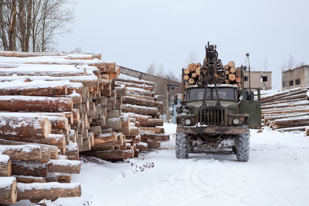 Log Loader Track with Timber in Lumber Mill Stock Image - Image of ...