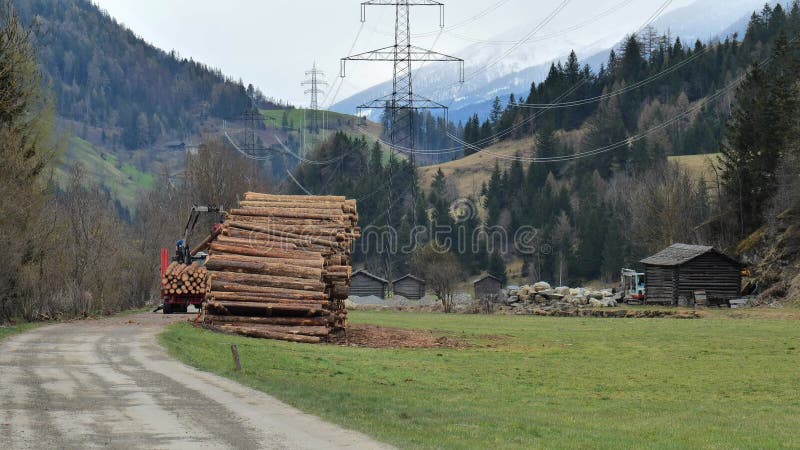 Log Loader Unloads and Stacks Logs in a Pile on the Road in the ...