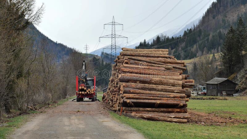 Log Loader Unloads and Stacks Logs in a Pile on the Road in the ...