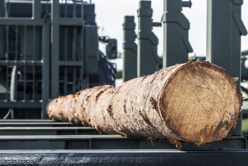 Log is Lying in the Back of a Car for Transporting Logs Stock Image ...