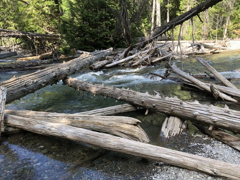 Log Obstacle Course on Avalanche Creek Stock Image - Image of river ...
